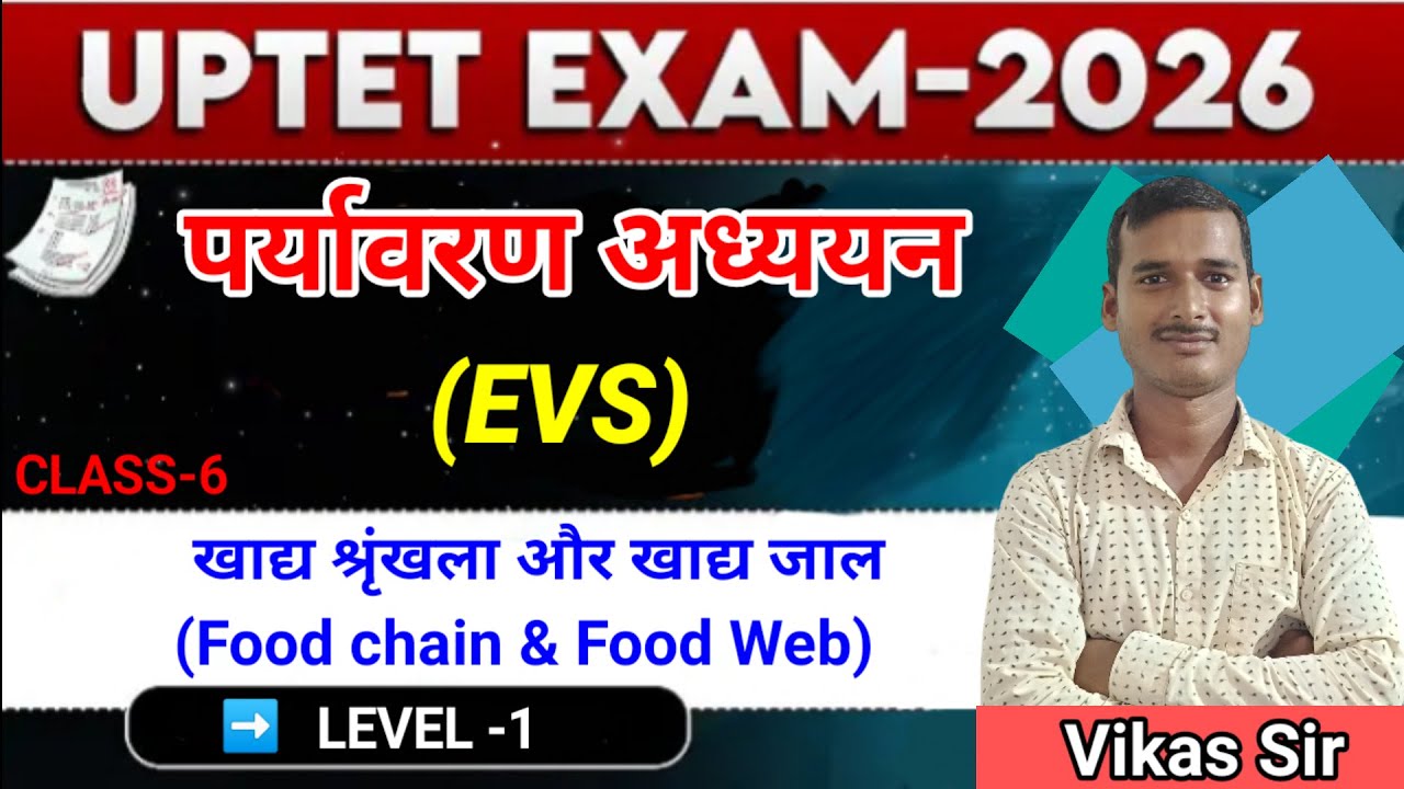 FOOD CHAIN & FOOD WEB||ECOLOGY||ECOSYSTEM||UP TET CLASSES 2025||UP TET ...