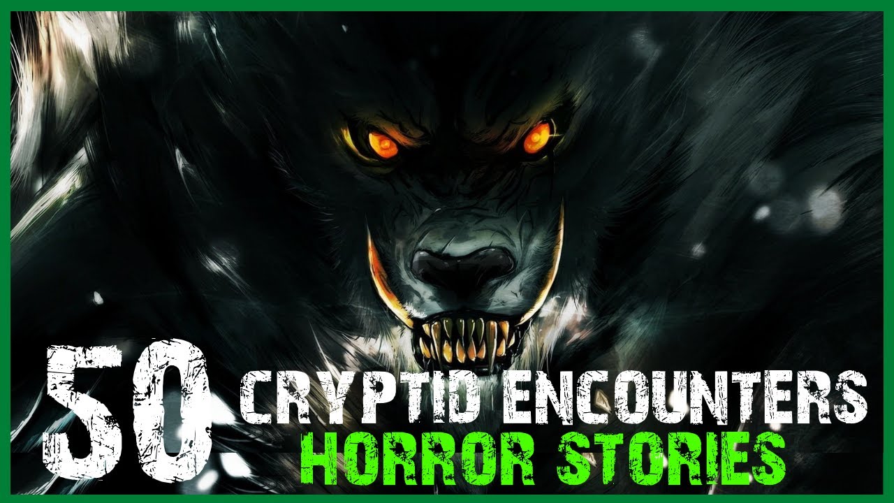 50 SCARY CRYPTID ENCOUNTERS HORROR STORIES (COMPILATION) - YouTube