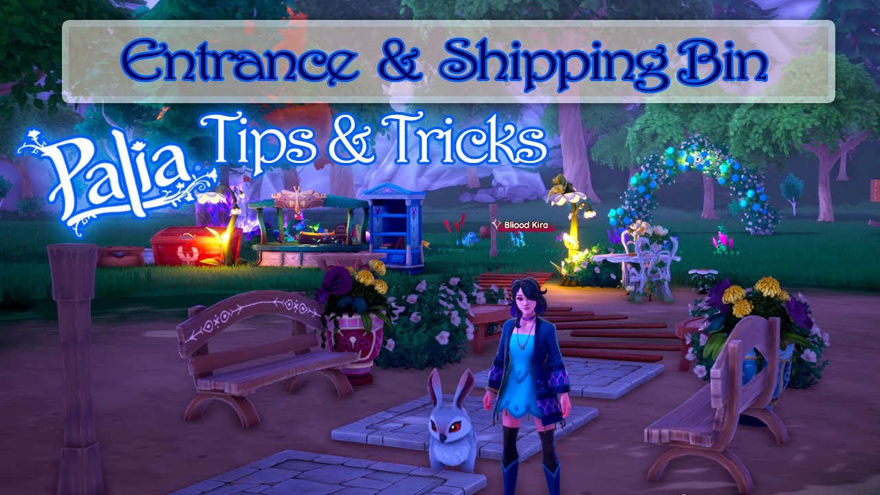 Shipping Bin & Entrance, Palia Tips & Tricks - YouTube