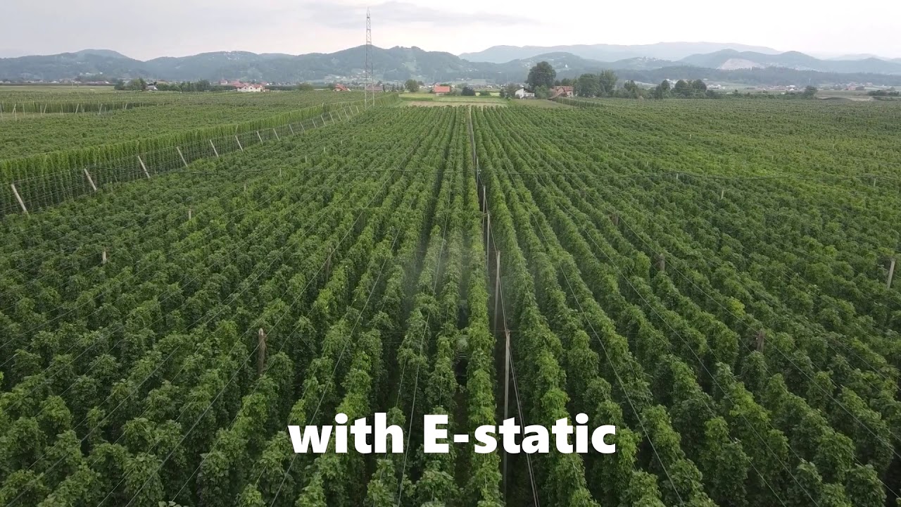 Spraying hops with and without ELECTROSTATIC - YouTube