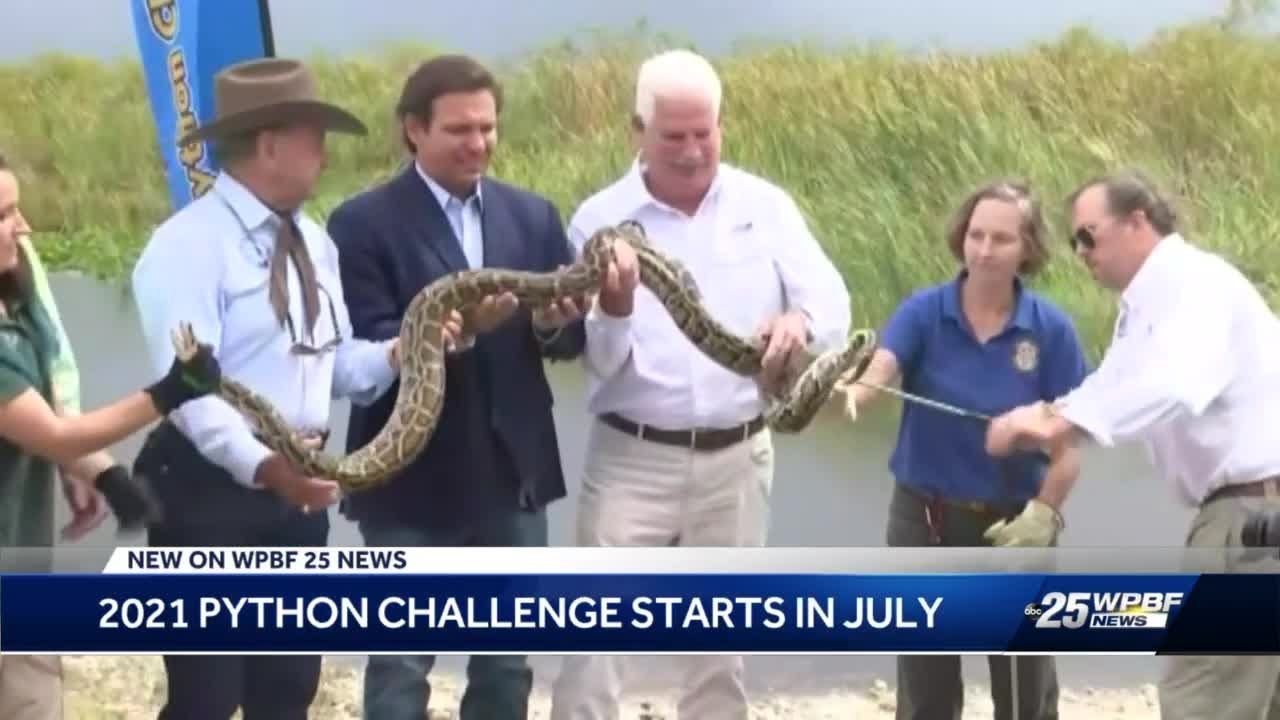 Gov. Ron DeSantis kicks off 2021 Python Challenge in Everglades - YouTube