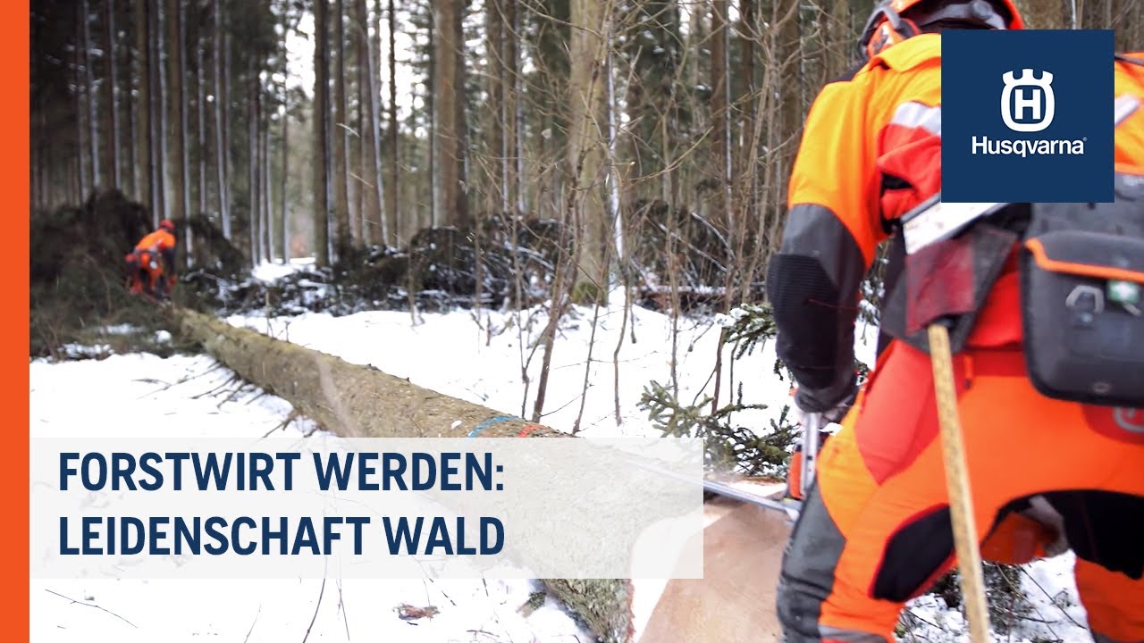 Wenn der Wald zur Leidenschaft wird: So wird man Forstwirt | Husqvarna ...