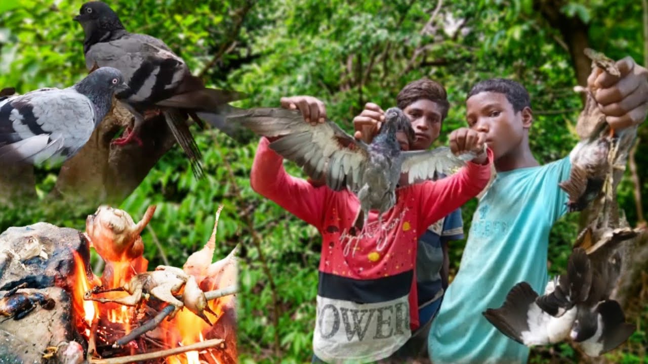 Finding And Cooking Wild Bird | Bird Hunting Videos | Jungle cooking ...