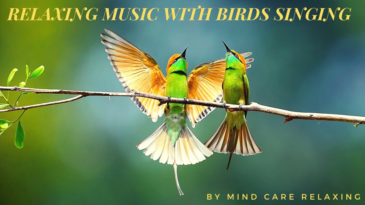 Relaxing Music with Birds Singing And Water sound For Meditation ...