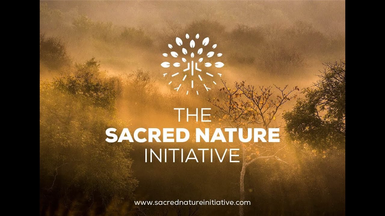 Announcing the Sacred Nature Initiative - YouTube