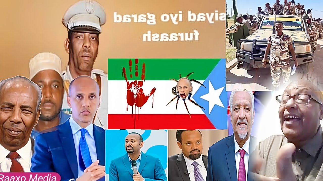 Maamulka Daarood iyo Somali state waa kansarka somaliland | 5 January ...
