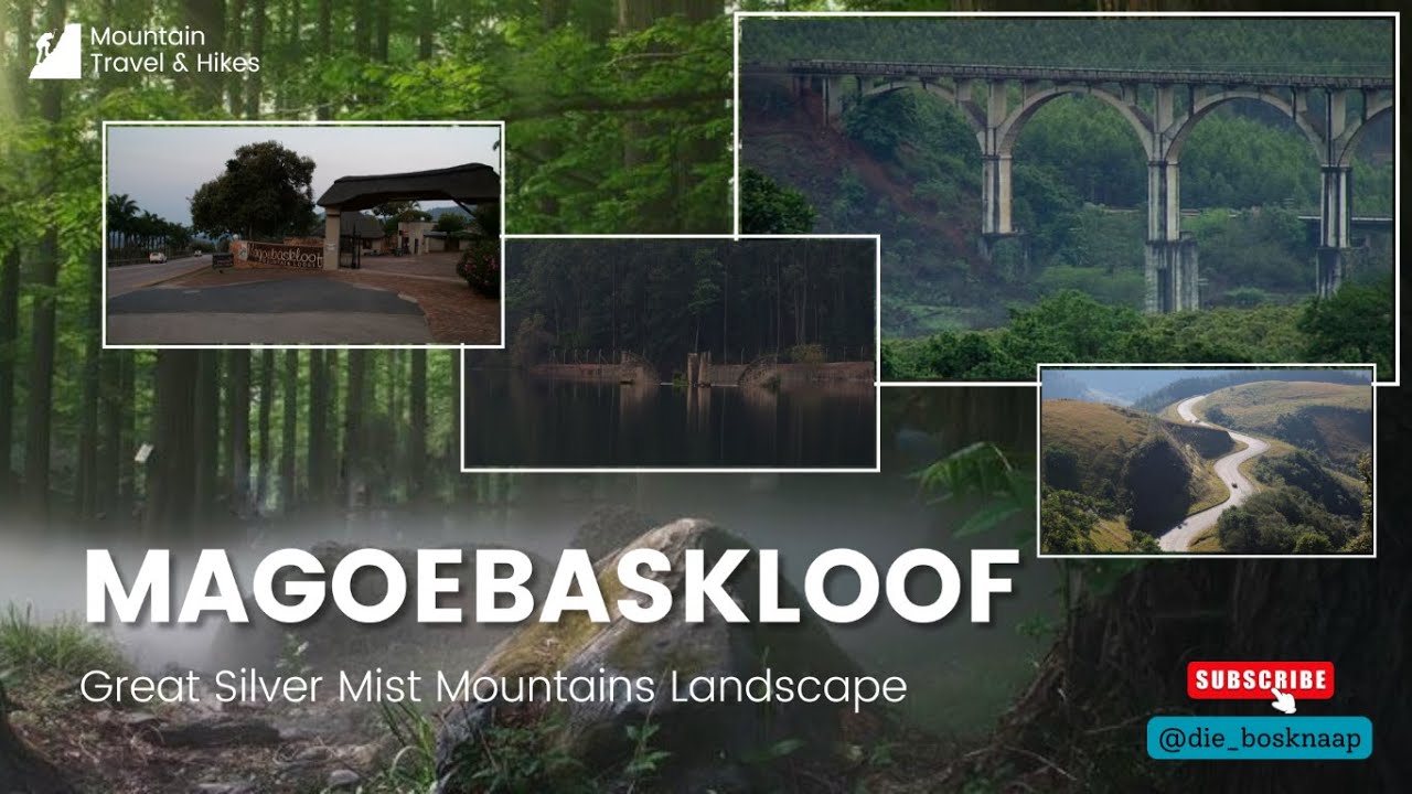 Travel: Magoebaskloof,Mountains,Limpopo -Tropical landscape of Silver ...