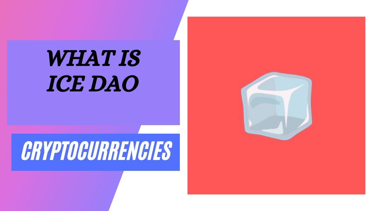 What is Ice DAO? SCAM or LEGIT ? check details in this video - YouTube