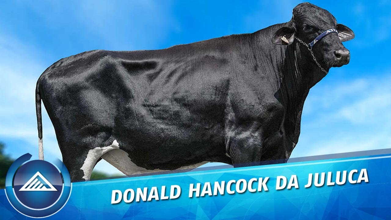 Donald Hancock da Juluca - YouTube