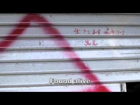 Second Harvest Japan message to supporters