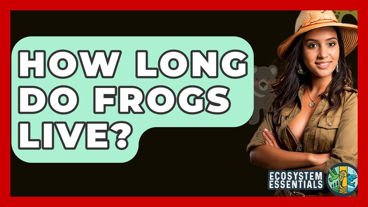 How Long Do Frogs Live? - Ecosystem Essentials - YouTube