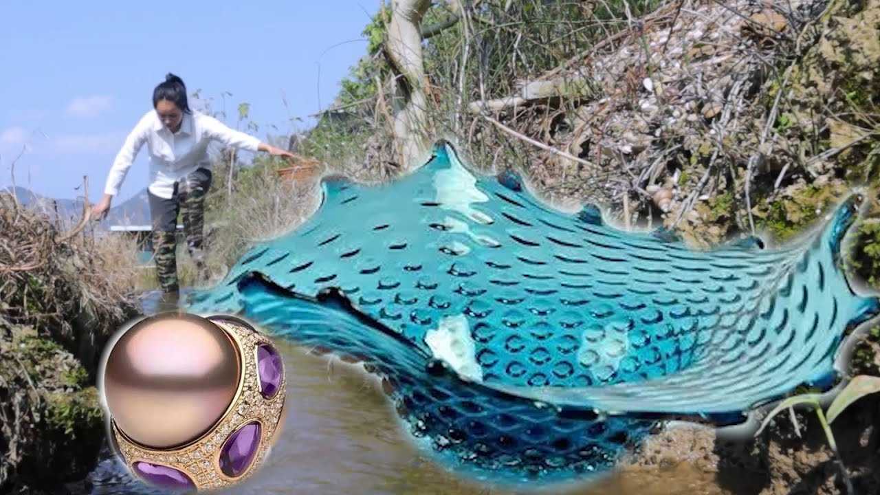 😱 Snake pearls hidden in clams, girls are amazed by freshwater pearls ...