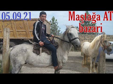Maştağa AT BAZARI 🐎 #mastagaatbazari #mastagamalbazari #mastagaqoyunbazari