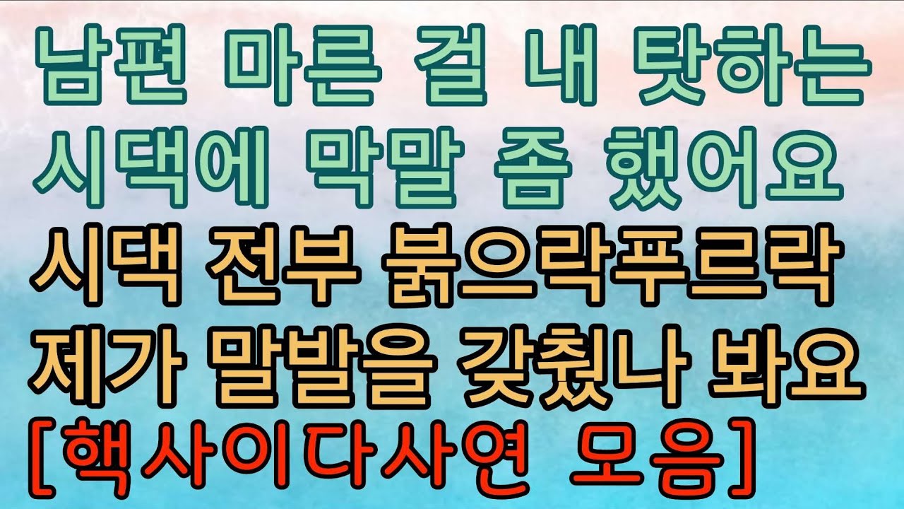 핵사이다사연 모음 별 게 다 며느리 탓이네요 참지 않았습니다 사이다사연 사이다썰 미즈넷사연 응징사연 반전사연 참교육사연