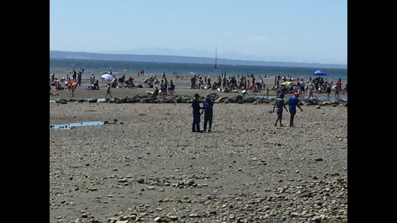 Metal Detecting Canadian Beaches, See Whats Found - YouTube