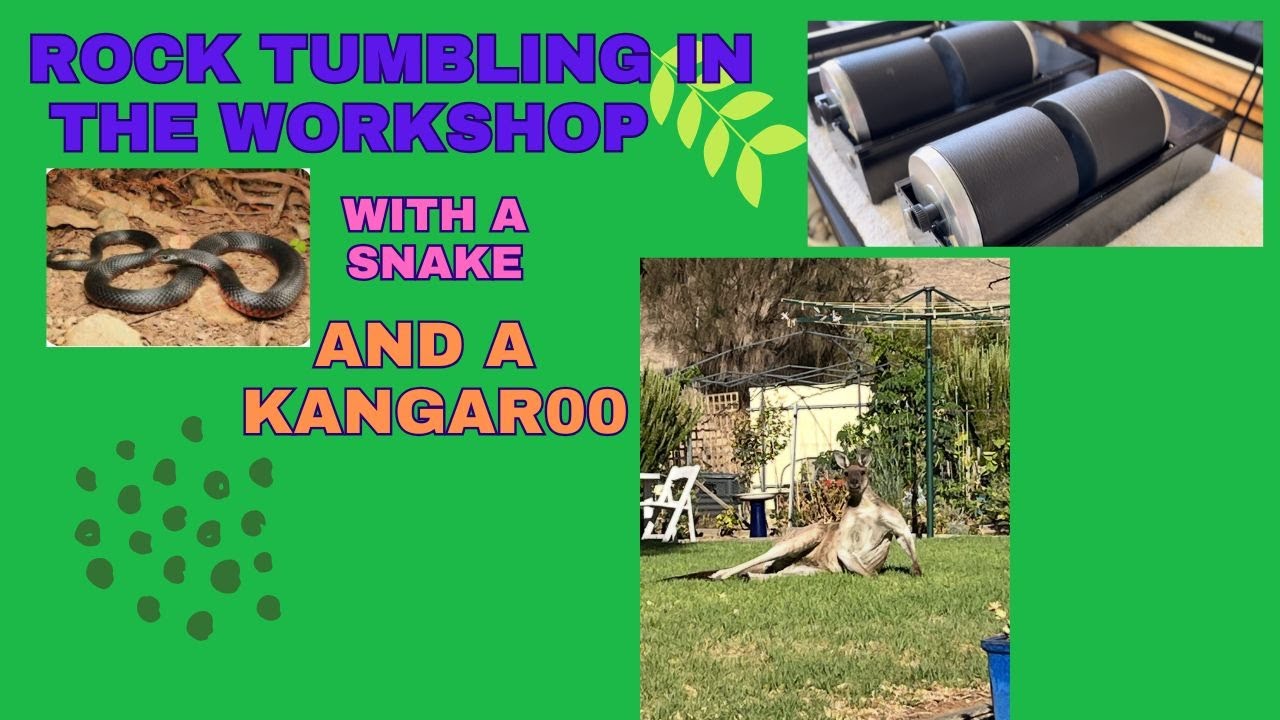 "ROCK TUMBLING Gone WILD - Snake in the Shed & a Kangaroo Visit! " # ...