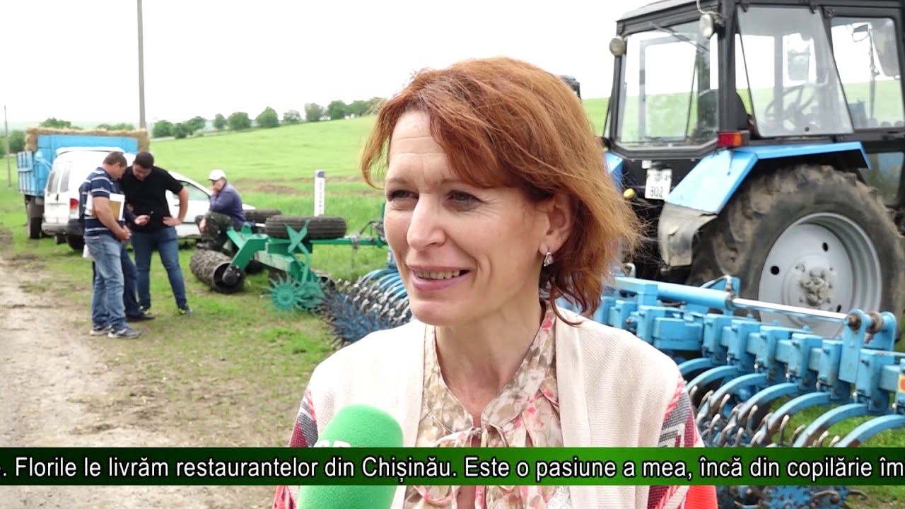 AGRO TV News - 10. 06. 2019 - YouTube