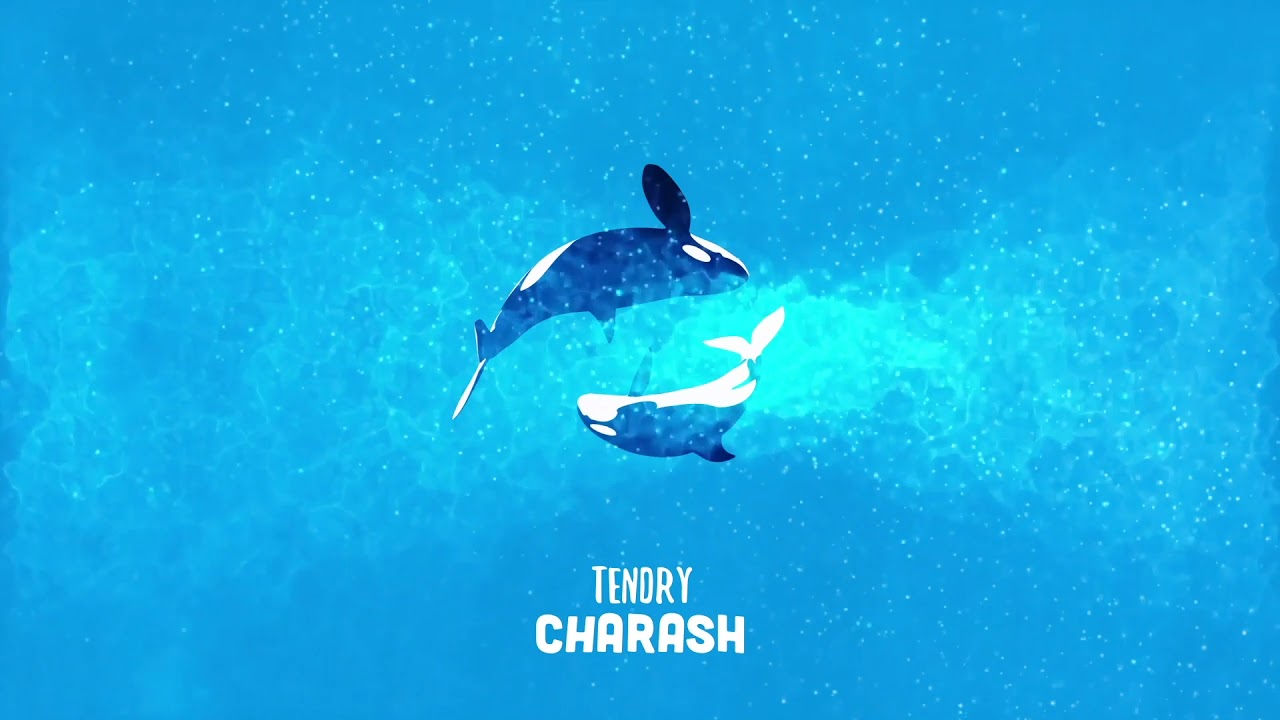 Tendry - Charash (OFFICIAL AUDIO) - YouTube