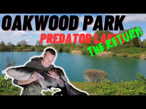 Monster UK catfishing Oakwood Park Predator Lake ... The Return - YouTube
