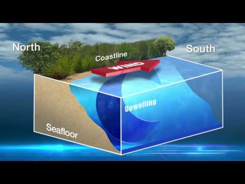 upwelling - YouTube