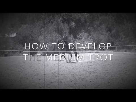 How to Develop the Medium Trot