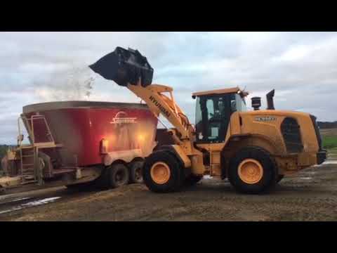 Hyundai HL940XT Wheel Loader Feeding at Dairy Farm - YouTube