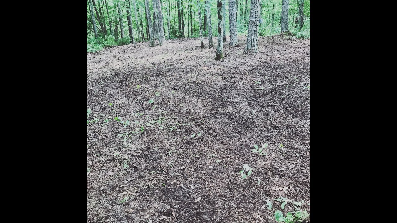 Georgia Food Plot: Kill plot near bedding - YouTube
