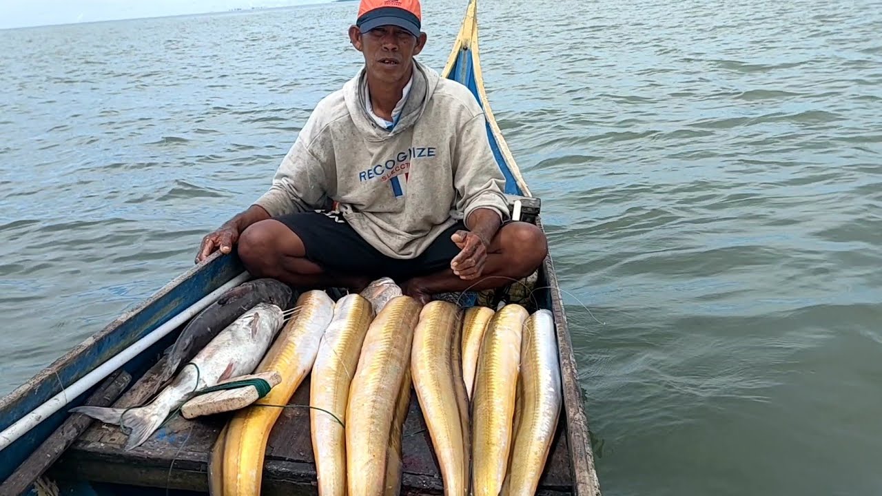 ikan ose babon - YouTube