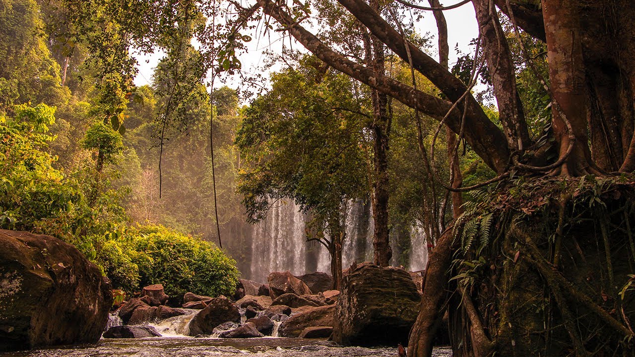 Soothing Waterfall, Waterfall-Relaxing Transition - YouTube