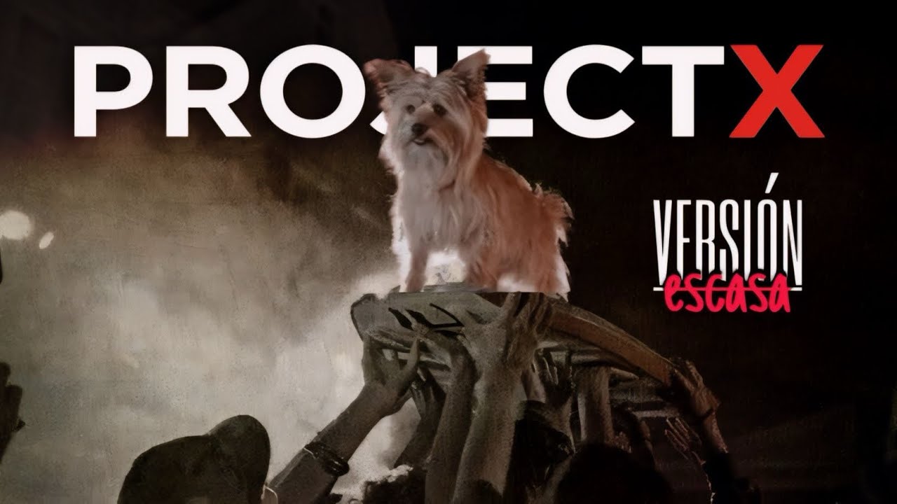 “PROYECTO X” en "VERSIÓN ESCASA" | EL RESUMEN DEFINITIVO - YouTube