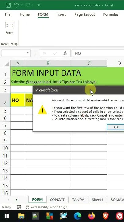Cara buat form input data di excel tanpa koding #exceldasarpemula - YouTube