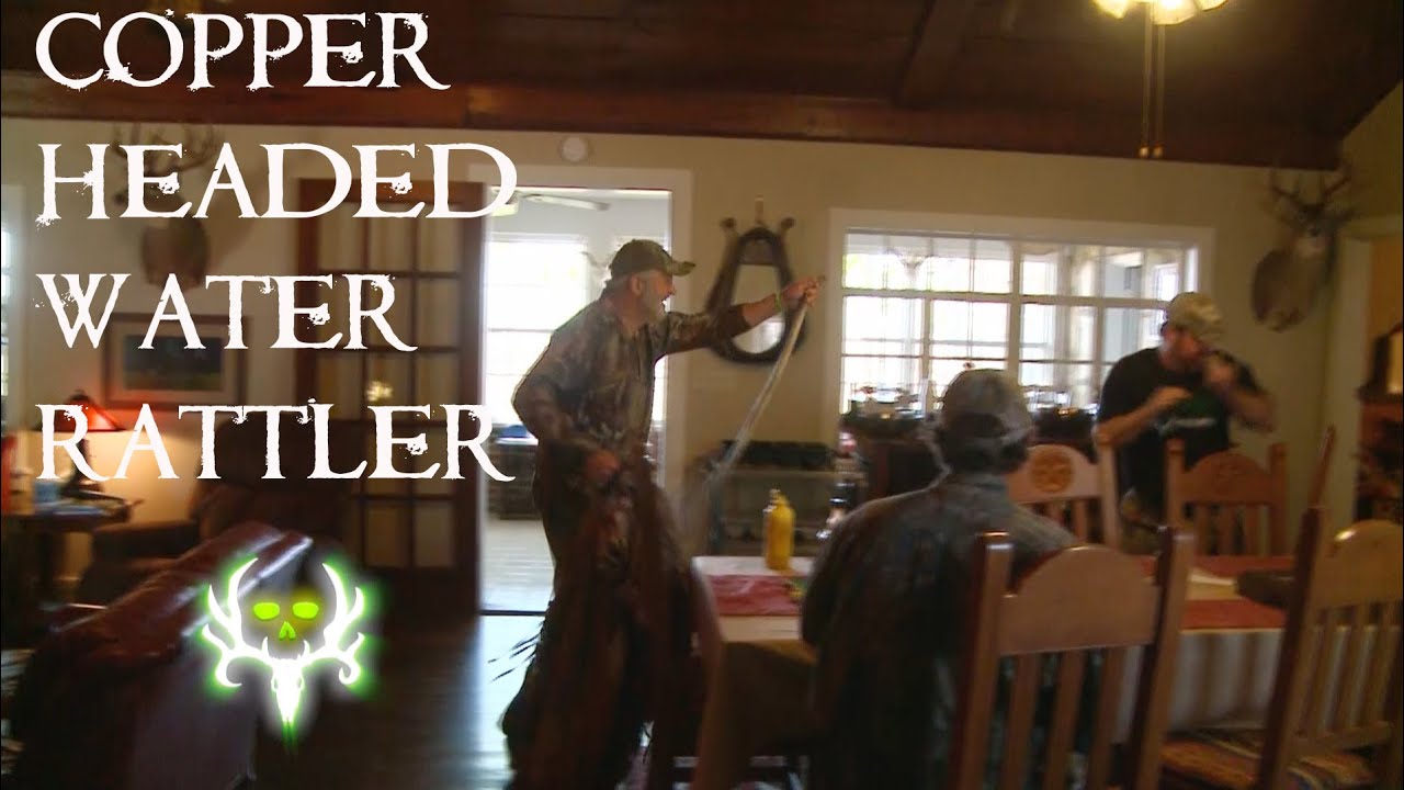 HILARIOUS snake prank, The Copper Headed Water Rattler | Bone Collector ...