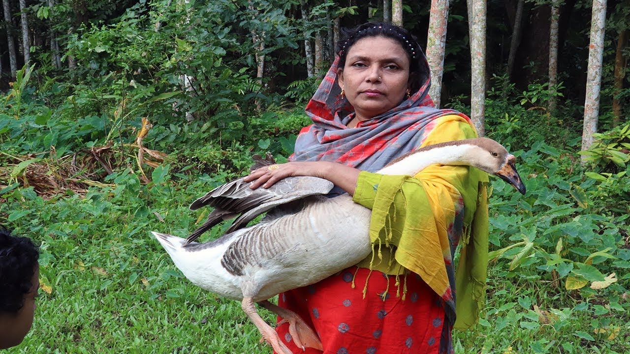 10 Kg Goose Curry Village Food Recipe / Cooking 10Kg of Goose So Yummy ...