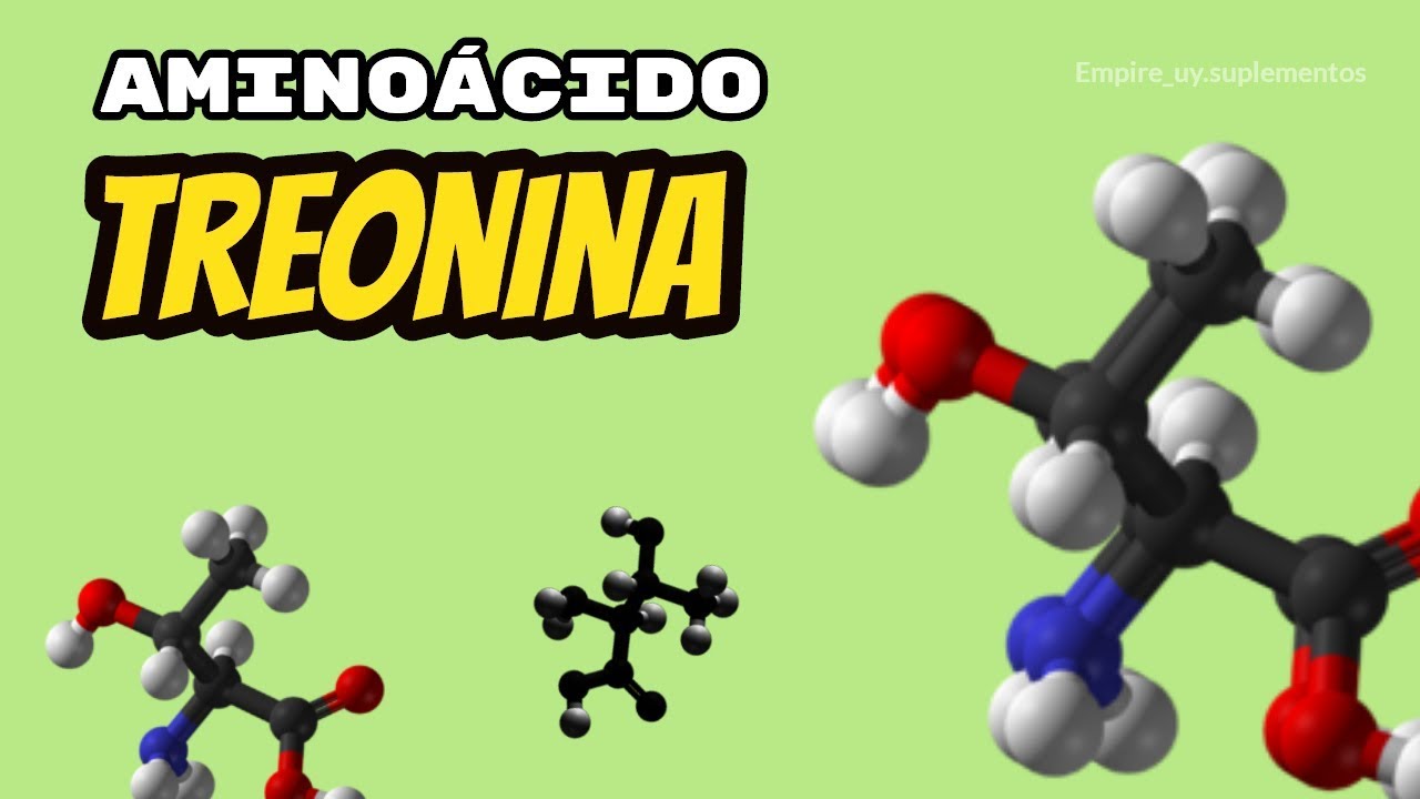 Aminoácido TREONINA - YouTube