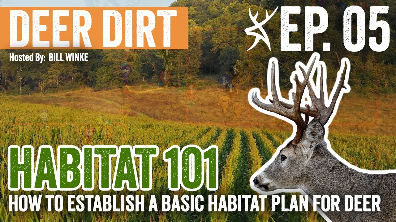 How to Establish a Basic Habitat Plan for Deer | DEER DIRT EP. 05 - YouTube