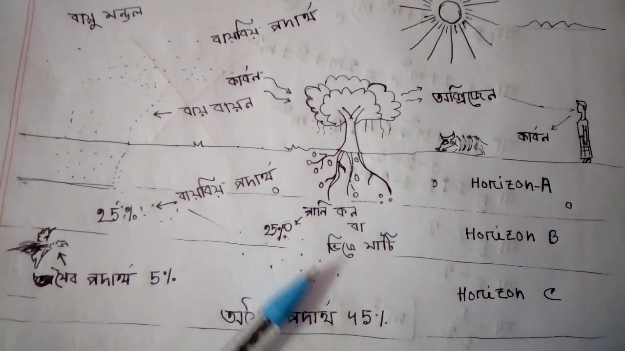 Ssc General science chapter:8 part-1 - YouTube