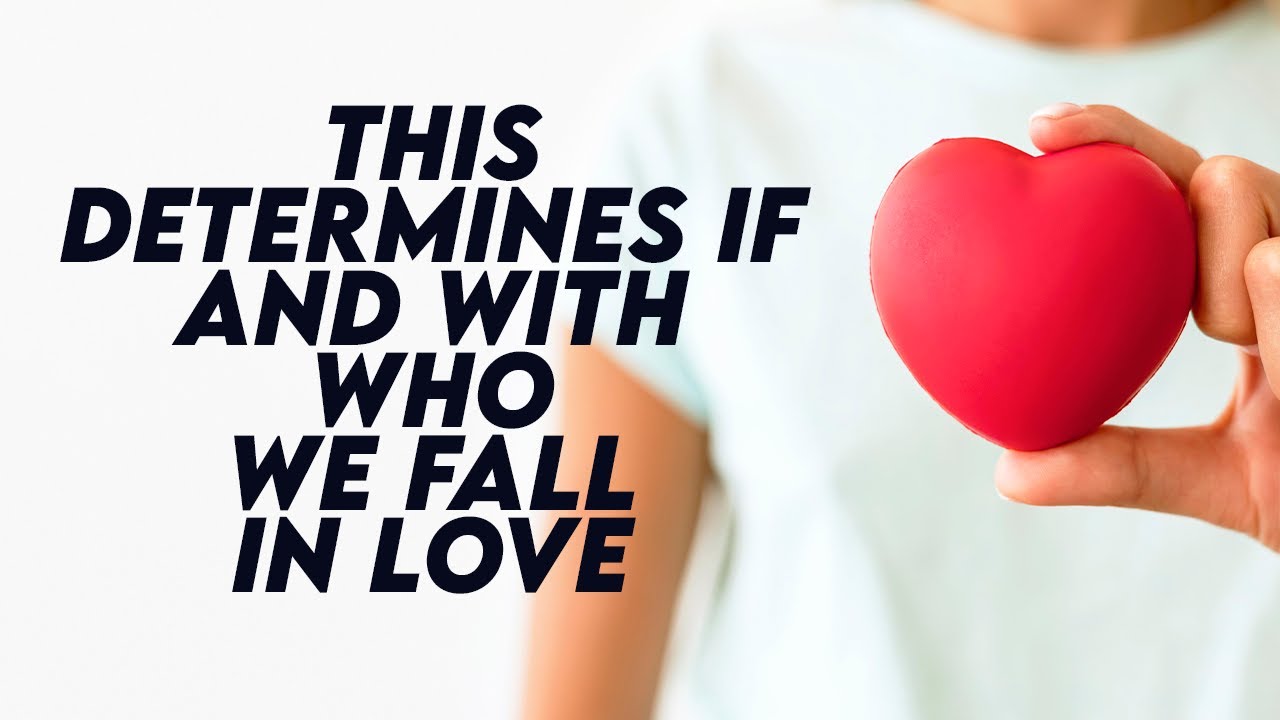 The Science of Love: 7 Key Factors That Influence Our Relationship ...