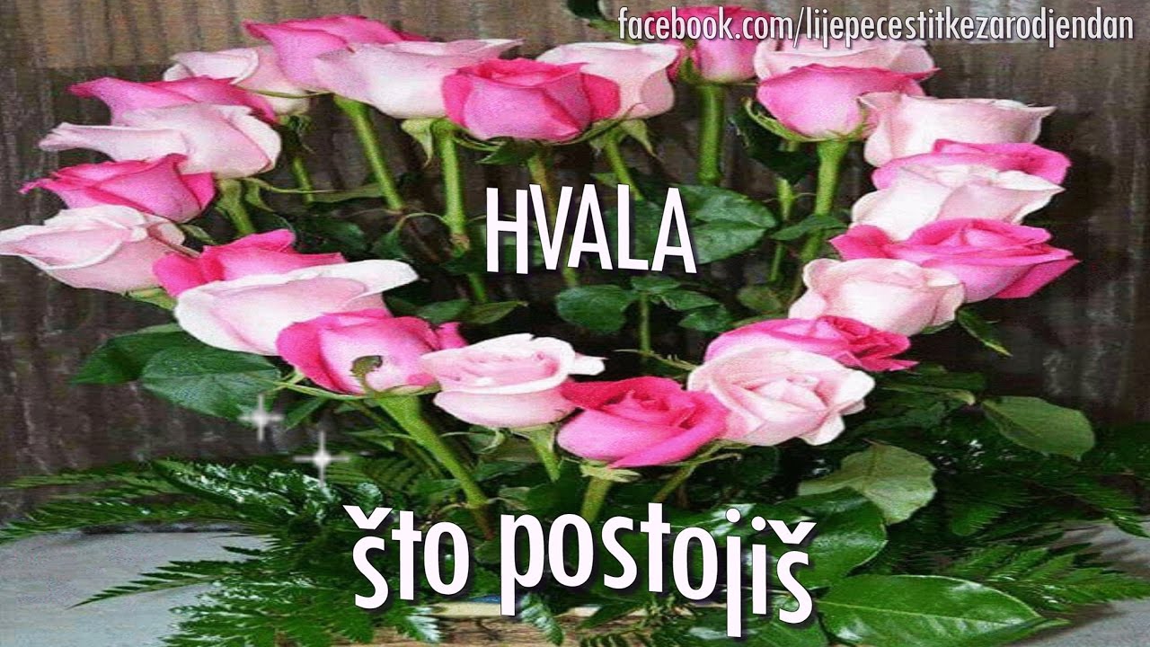 Za tebe 💕 jer si posebna - YouTube