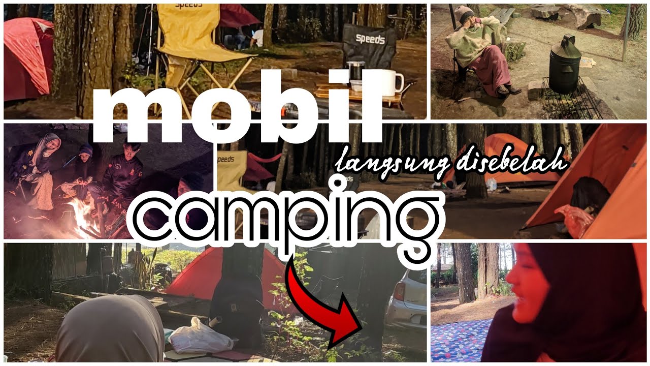 serunya taman pinus campervan park, camping dengan fasilitas lengkap ...