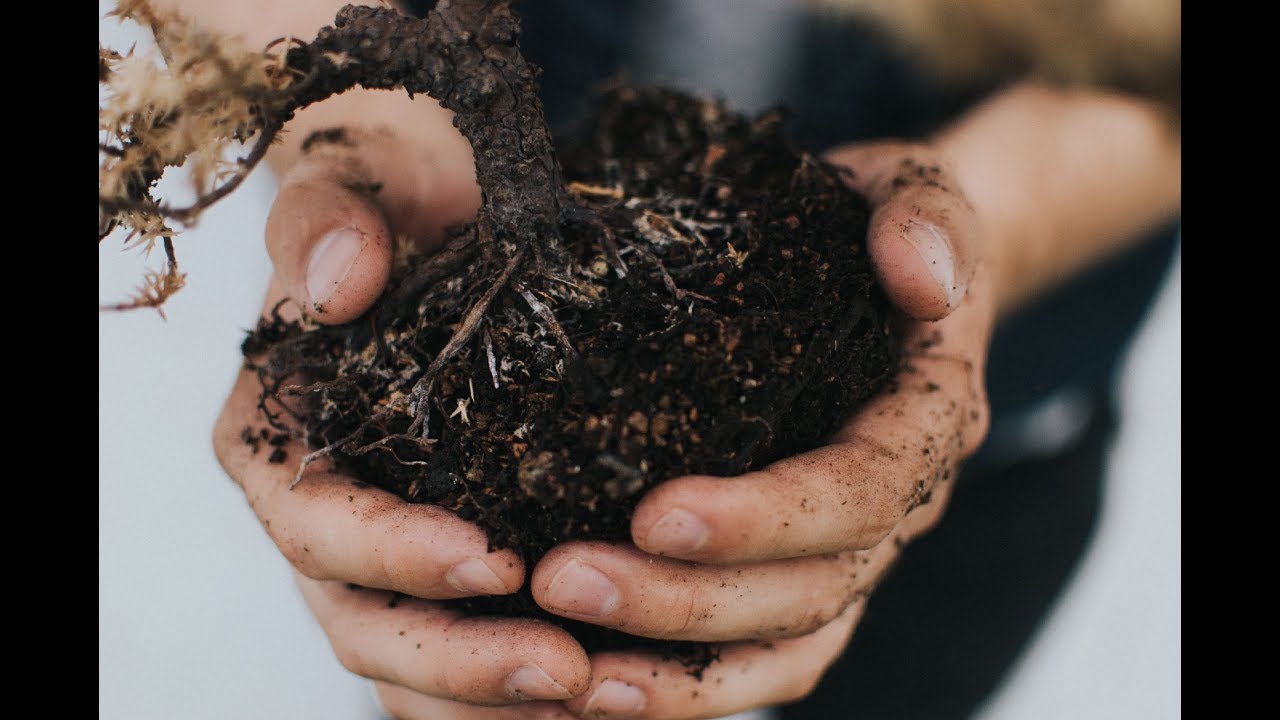 The Benefits of Humic Substances in Agriculture - YouTube