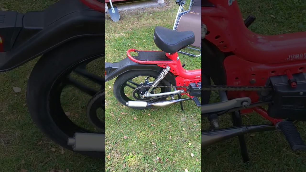 Atala Califfone Polini - YouTube