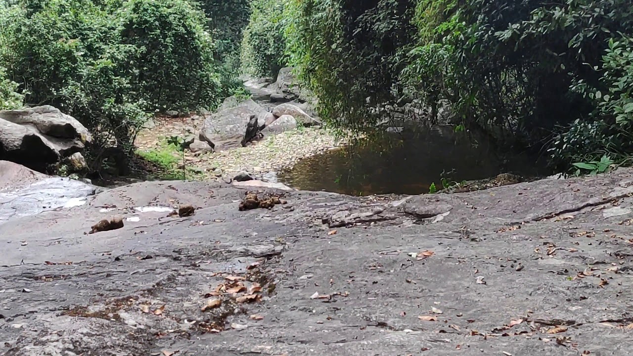 VALPARAI. TIGER JUNGLE.... - YouTube