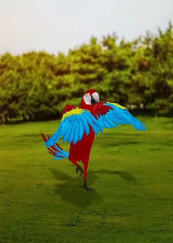 Parrot Dance - YouTube