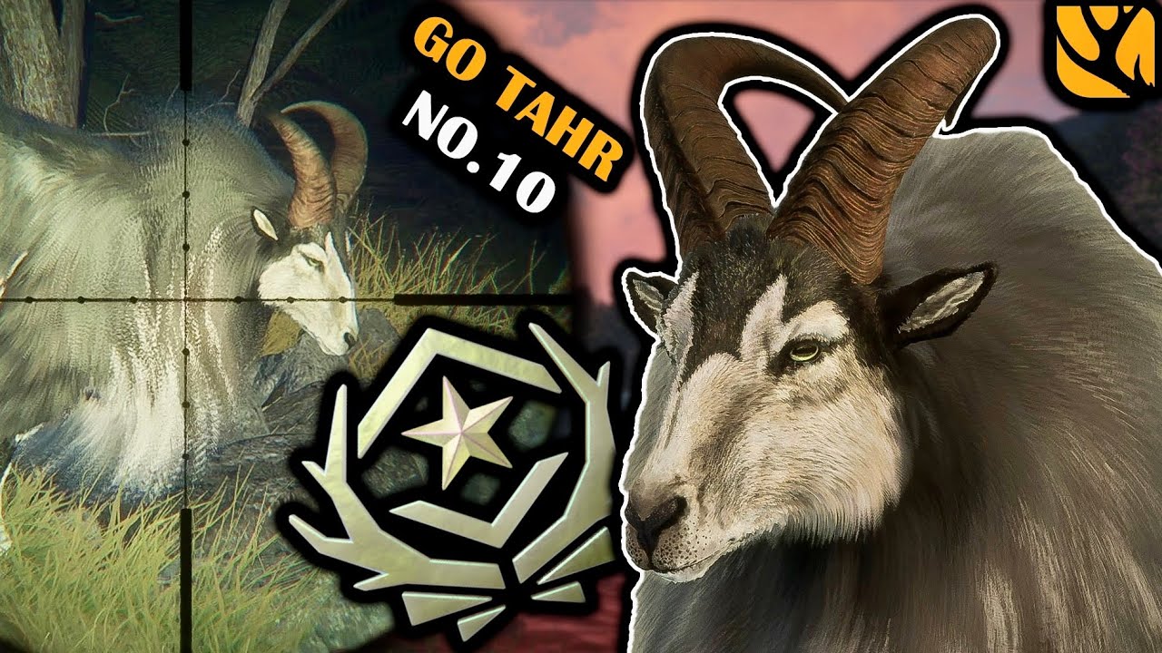 TAKING GREAT ONE TAHR NO.10 WITH A WEAPON I'VE *NEVER* GOTTEN A TROPHY ...