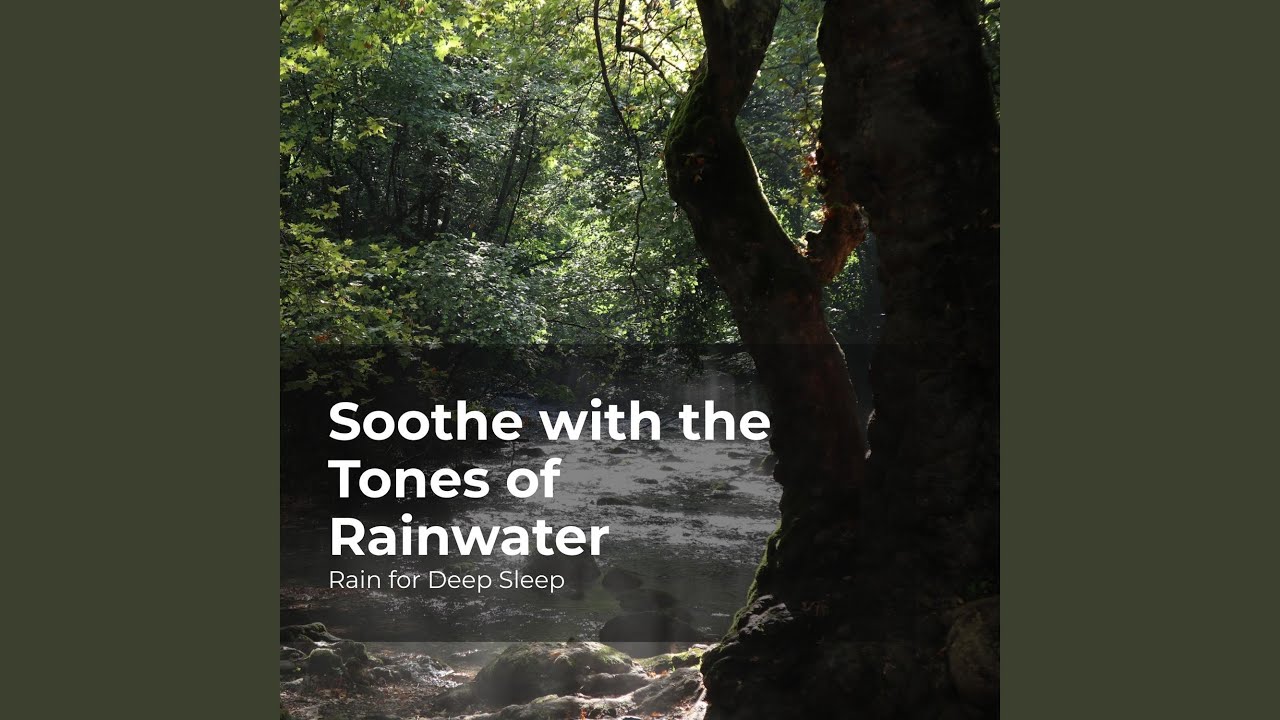 Hush Rainfall at Midnight - YouTube