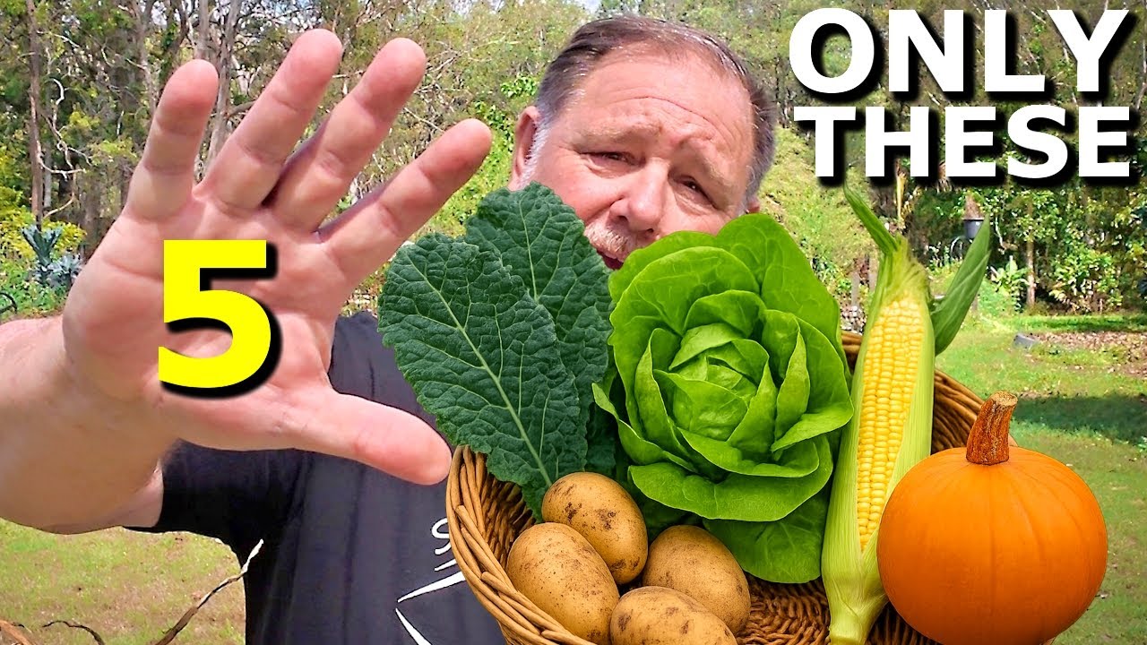 Farming - Self Sufficient Me