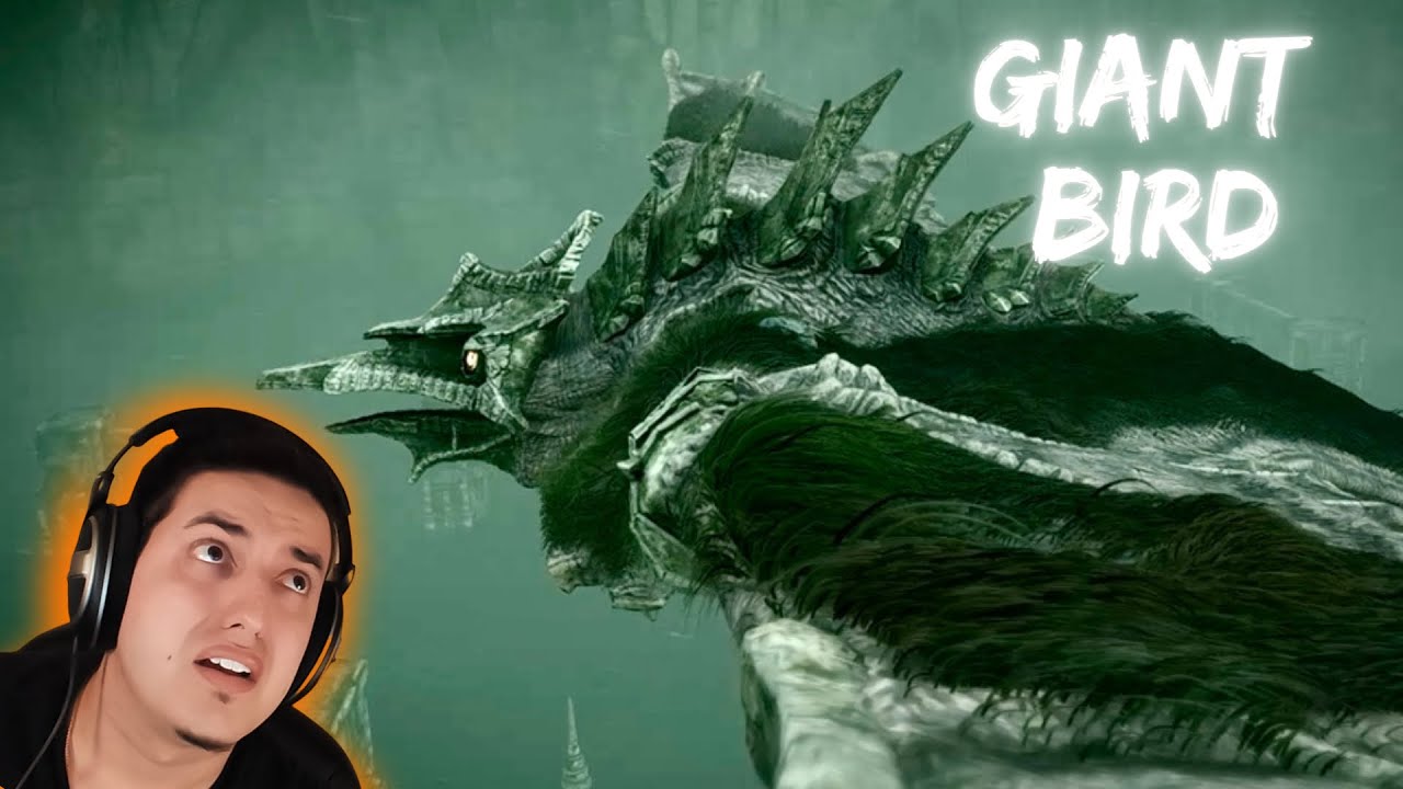 Colossus 5 - Avion | Riding the wind - Part 5 | Shadow of the Colossus ...