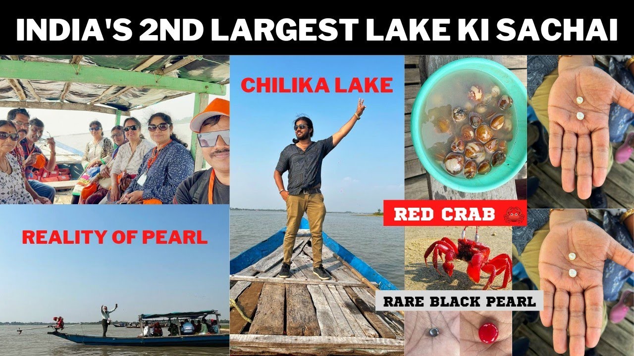 THINGS YOU SHOULD KNOW BEFORE VISITING CHILIKA LAKE || FOOD - TRAVELS ...