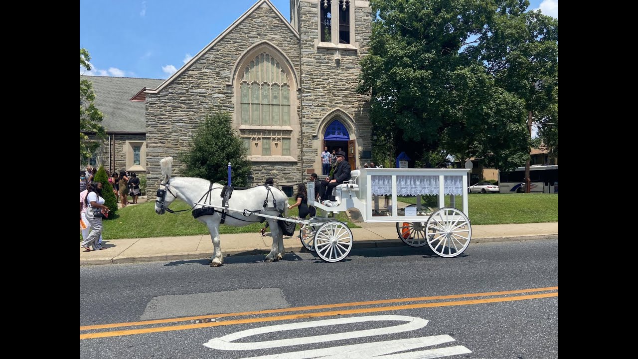 White Horse and Funeral Carriage Harleigh Cemetery Camden NJ Boyd ...