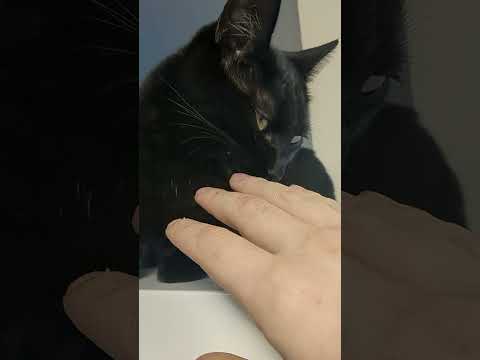 Sniffing my finger for 40 seconds - YouTube